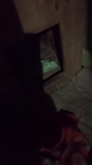 Вечерняя прохлала. Прятаться надо.