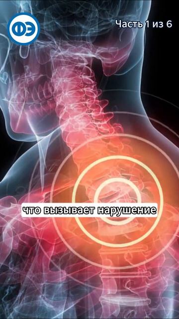 1 часть: Корректоры осанки ✔️