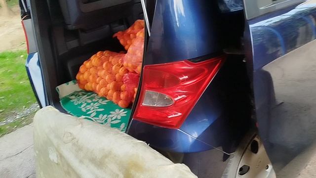 Как загрузили  🍊 хонда фрид