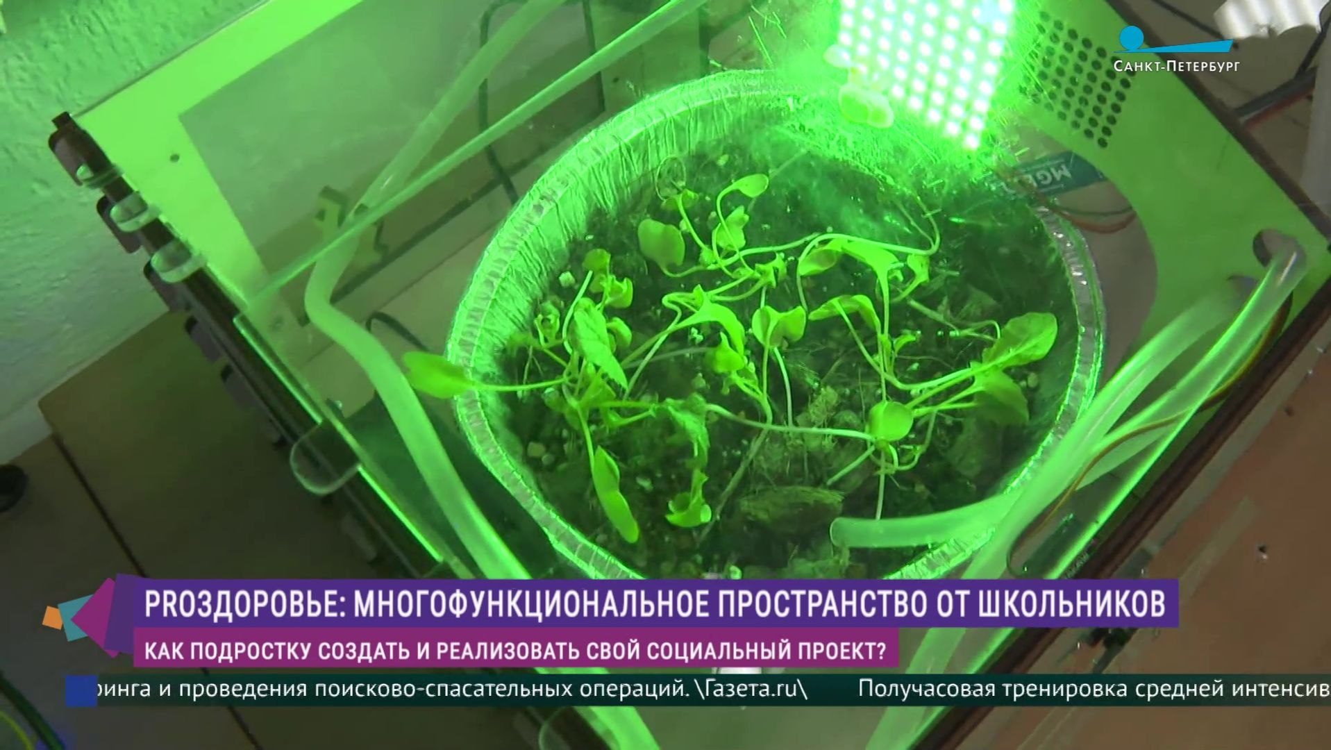 Многофункциональное пространство «PROздоровье» в лицее № 378