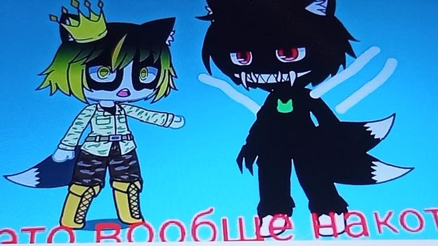 реакция Тиши на разацветных котов