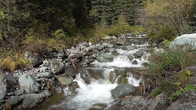 Чибитка река в Республике Алтай. Сентябрь.