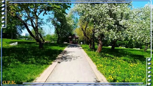 nexoqo - УХОДИТ НОЧЬ, НА СМЕНУ ДЕНЬ ПРИДЁТ