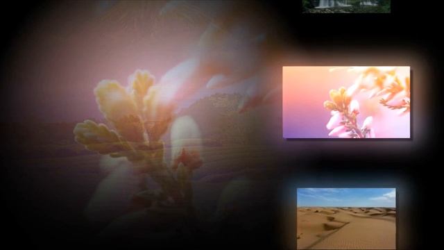 DBlack-Journey to Asia