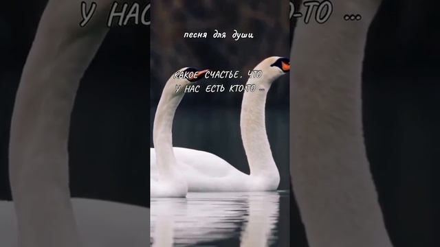 Какое счастье,что у нас есть кто-то...