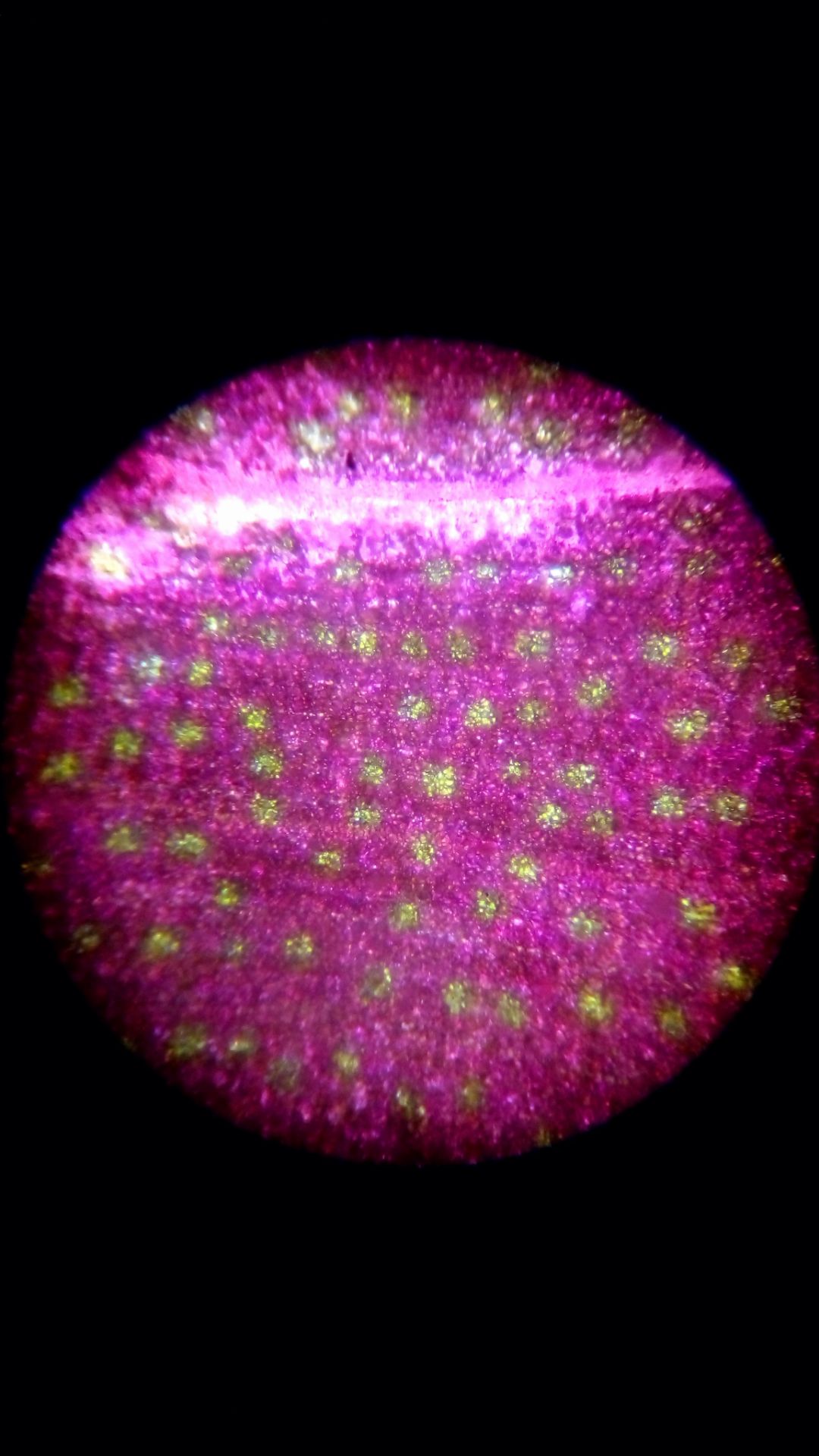 Удивительный телефон  PAGRAER часть 2