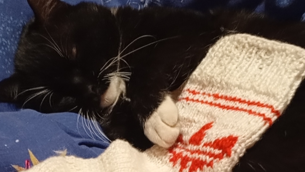 knitted socks Shchelkovo вязаные бабушкины носки от Анны Николаевны. Вацап, телеграм мах 89153341491