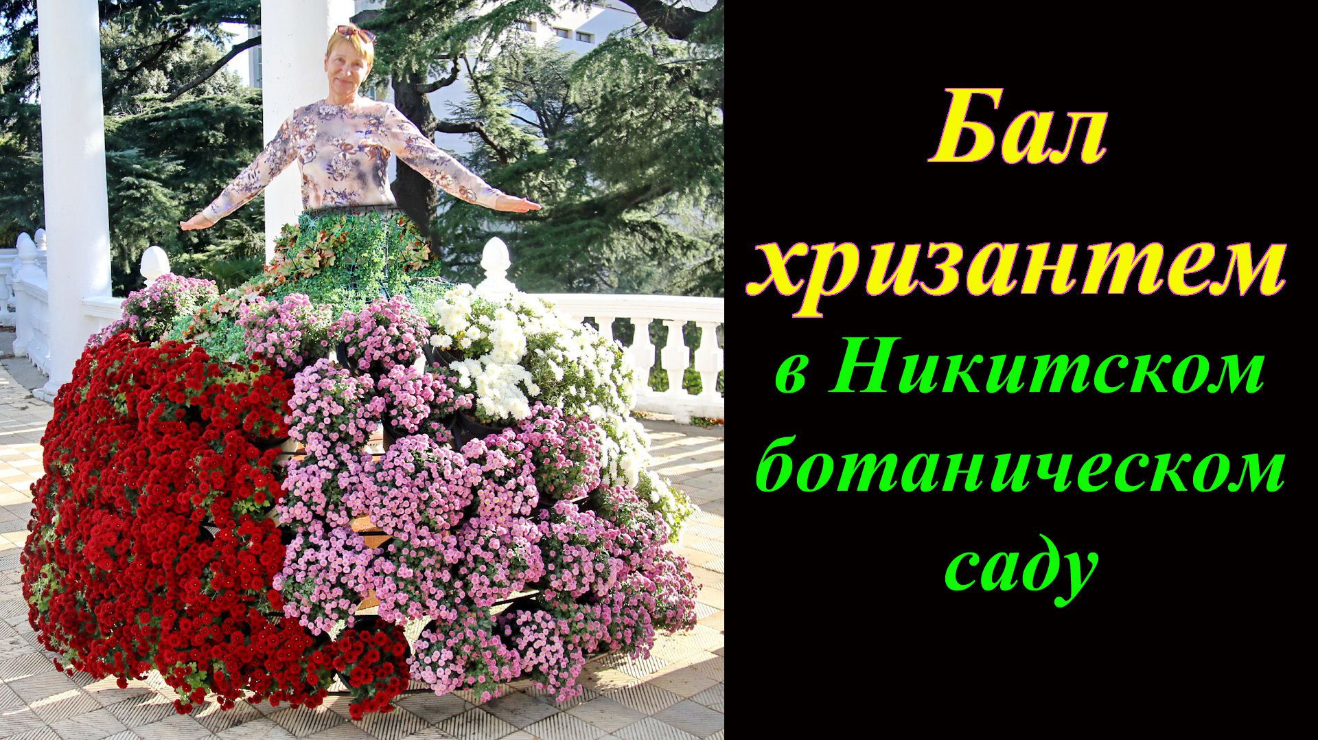 Бал хризантем в Никитском ботаническом саду (2025)