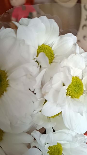 самозанятые вас с праздником