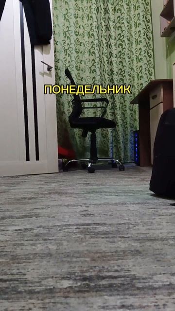 КУДА ОНИ ПОЛЕТЕЛИ? | #мемас #memes #колоптицы #рек #shorts #мем #юмор #птички #понедельник #пятница