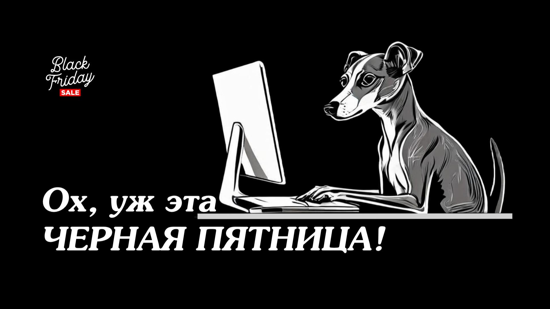 СОБАКИ ТОЖЕ ЗНАЮТ ПРО ЧЕРНУЮ ПЯТНИЦУ