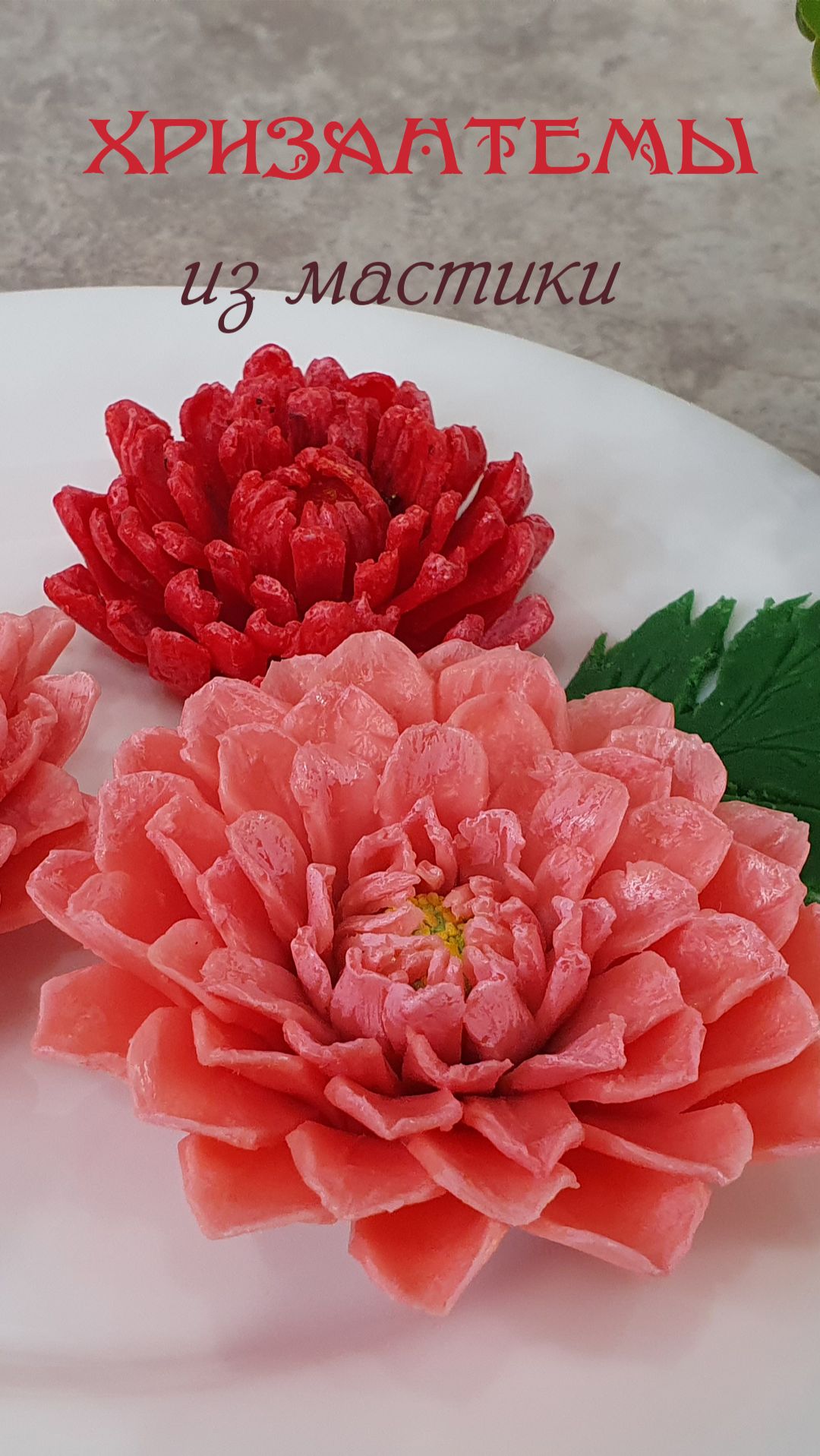 ХРИЗАНТЕМЫ ИЗ МАСТИКИ