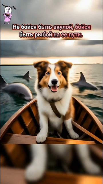 Не бойтесь быть акулой! 👍#мудрыеслова