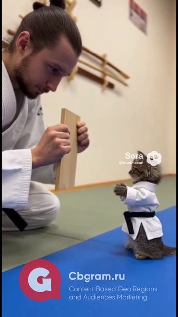 Почему Яндекс Директ на Картах может либо взорвать вам трафик, либо спалить бюджет к чертям?