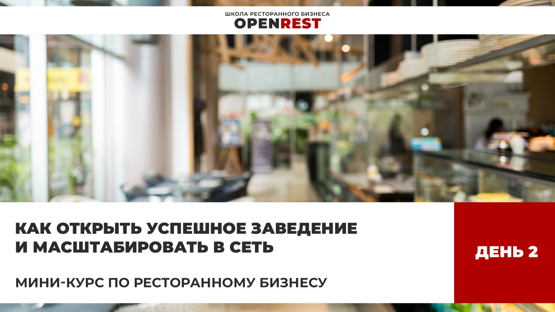 МИНИ-КУРС,  ДЕНЬ 2: Как открыть успешное заведение и масштабировать его в сеть