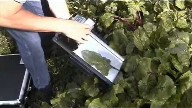 Лазерный портативный измеритель площади листа CI-202