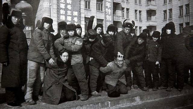 О крысах и тиграх или Обезумевшая школота. Вадим Нестеров (Жизнь примечательных людей)