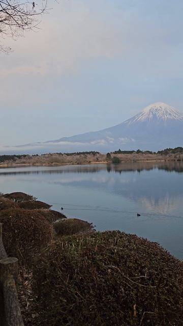 Фудзияма, озеро Тануки