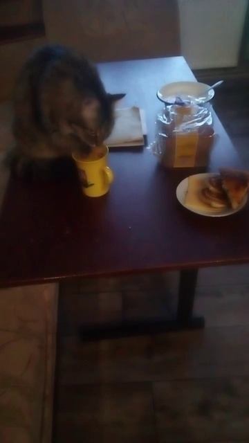 На столе оставлен завтрак  Не воспользоваться как?