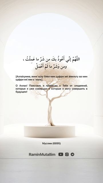 📖 Nº9 ДОСТОВЕРНЫЕ МОЛИТВЫ ПРОРОКА ﷺ