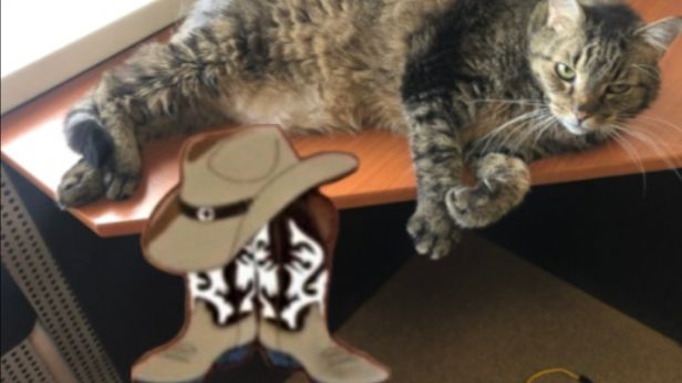 Необыкновенное приключение кота Кузьмы