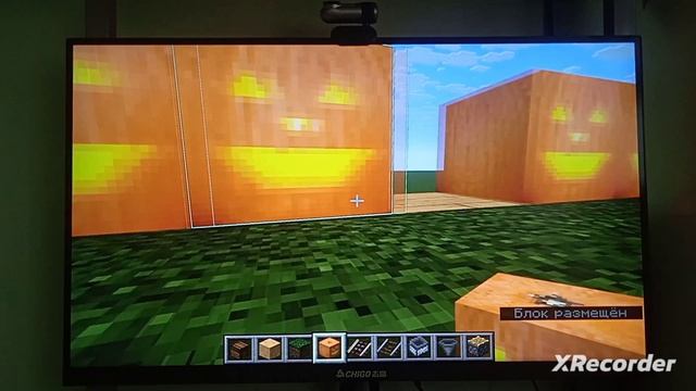 ФЕРМА БАМБУКА! ФУЛЛ БОЛЬШОЙ СУНДУК ЗА 30 МИНУТ!