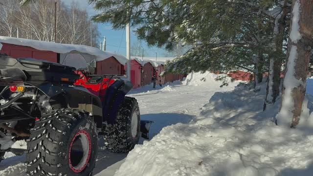 Сокол может и…