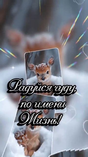 Доброе утро ☀ 🌝⏰