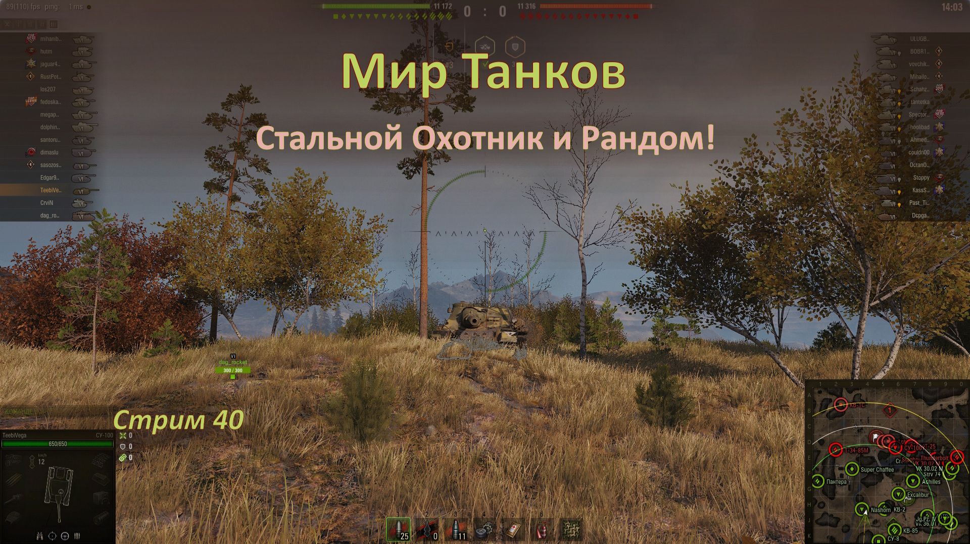 Мир Танков: Стальной Охотник и Рандом на проверенных машинах!