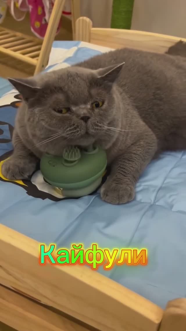 😾 Кайфули 🙂