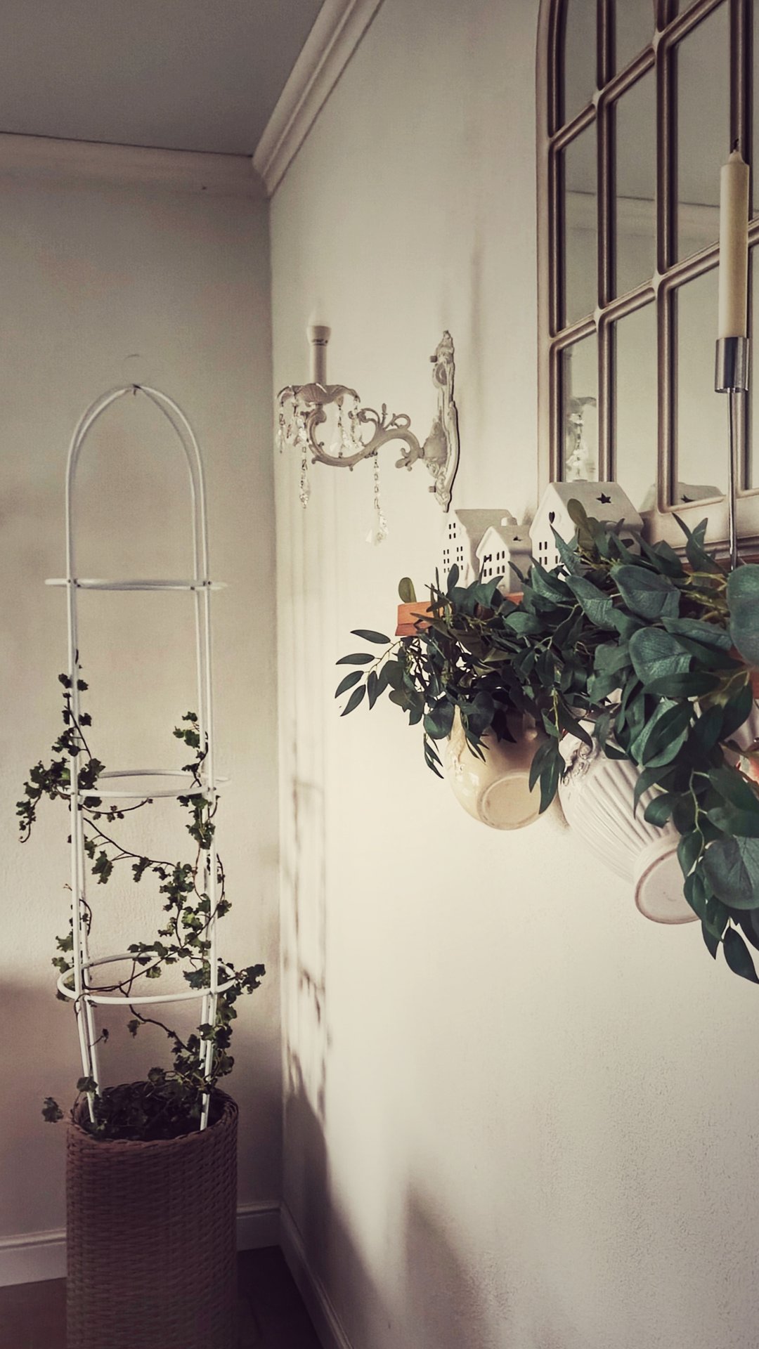 дом, милый дом🌿