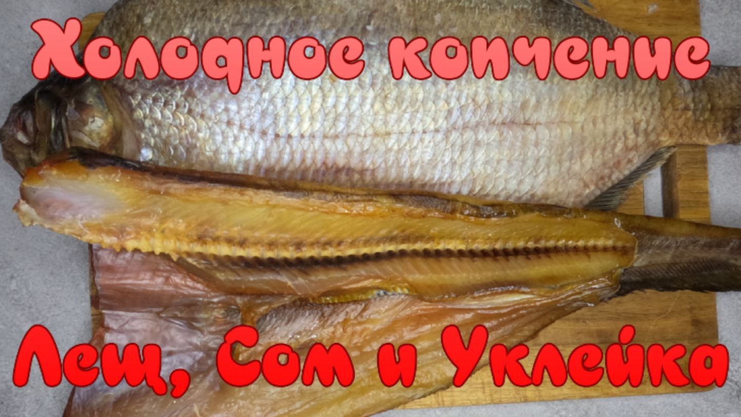 Холодное копчение. Лещ, Сом и Уклейка.