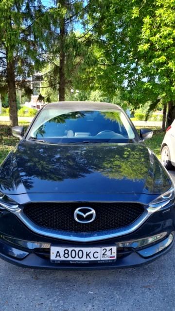 Регистрирую г.Чебоксары || Мать чувашского народа, паслён, Cheboksary Russia, ПФО