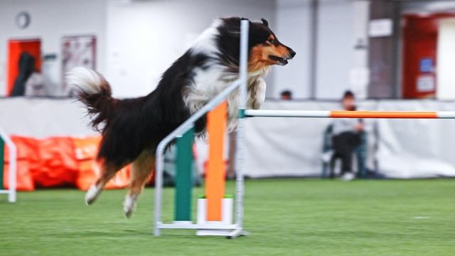 Макс, Кубок Санкт-Петербурга, Чемпионат РКФ, 23.11.25   Автор видео Лилия Сергеева