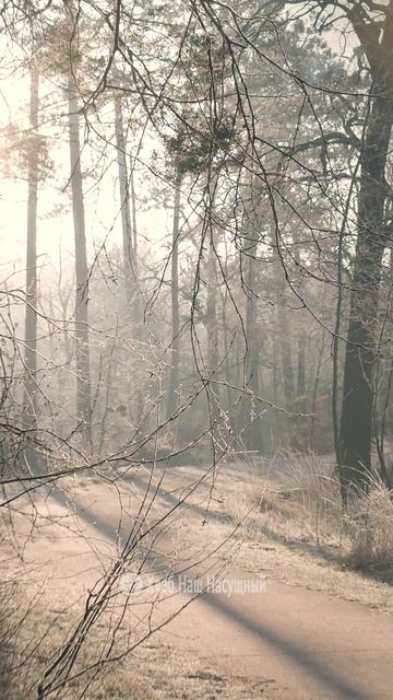 Отвратив взор от... | Молитва