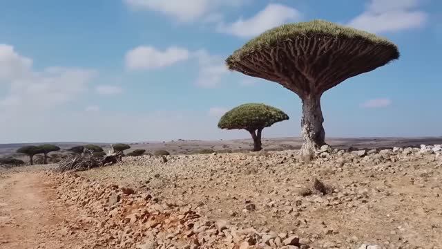 15 необычных островов