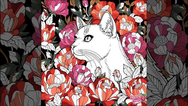 Бонус 2321-2330