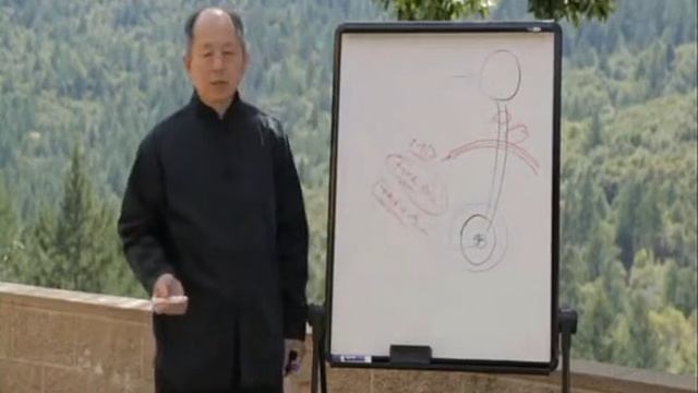 Боевой Цигун 6. Три даньтянь 12 меридианов Ян Цзюньмин