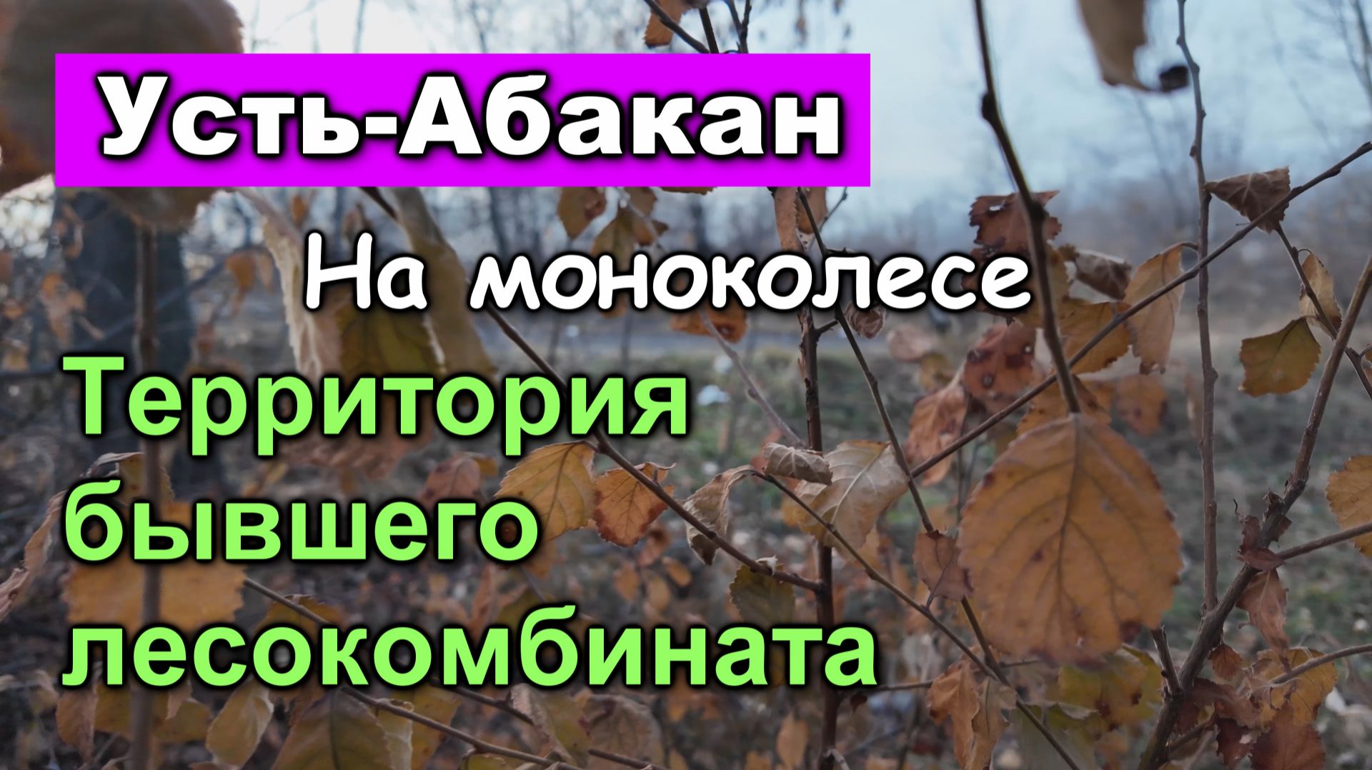5-5 У-Аб. Усть-Абакан на моноколесе: территория бывшего лесокомбината