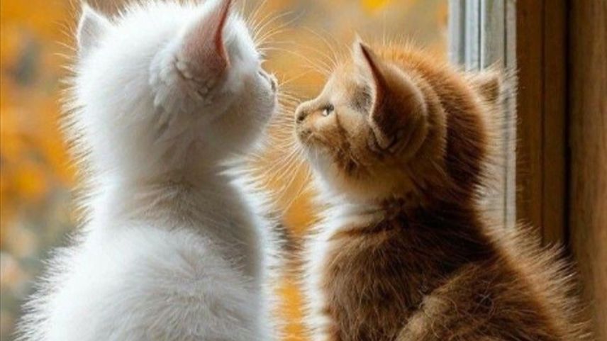 Добрый день открытки. Пожелание хорошего дня. Желаю Вам самого доброго дня и прекрасного настроения