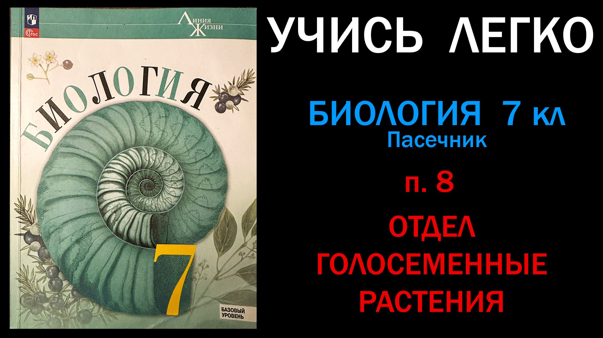 Биология 7 класс Пасечник, Суматохин параграф 8 Отдел Голосеменные растения слушать онлайн