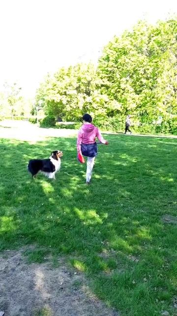 АО Барри - вольт от колена