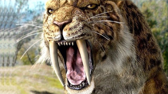 5 Невероятных вымерших чудовищ