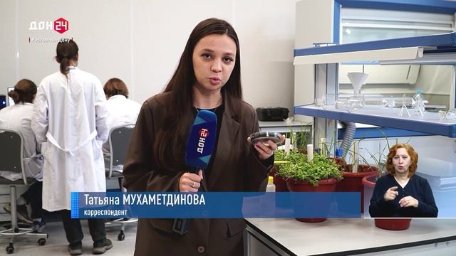 Содружество Донбасс 28.11.2025