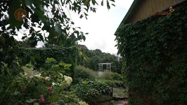 Мой большой проект. Анонс. Канал Загородный