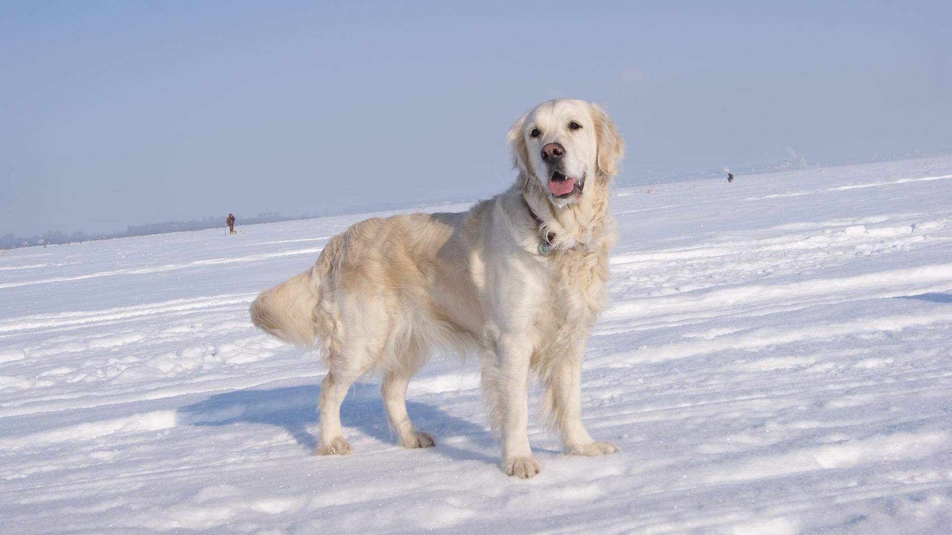 Delicia 1 часть Детство Отрочество Юность