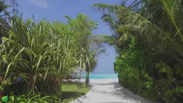 Природа и музыка для сна и релаксации, антистресс.