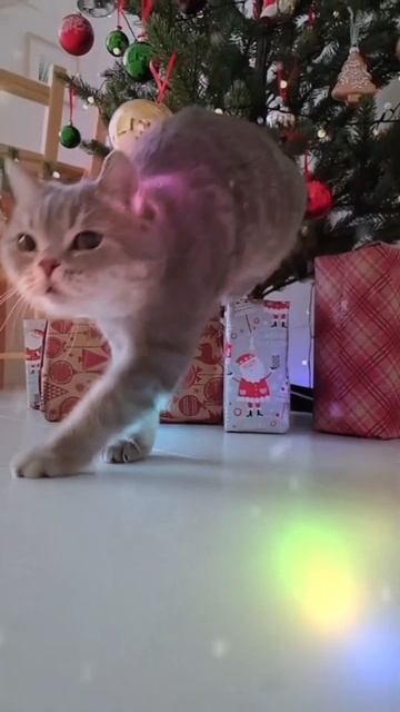 🎄🥳 С Наступающим!