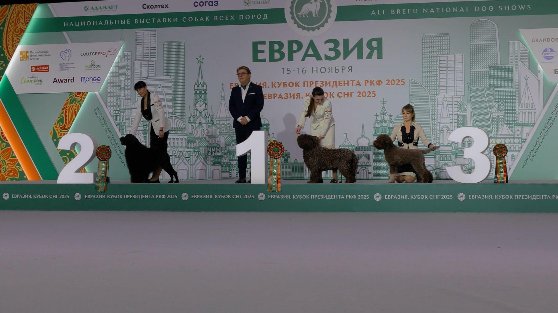 Финалисты выставки собак Евразия 2025