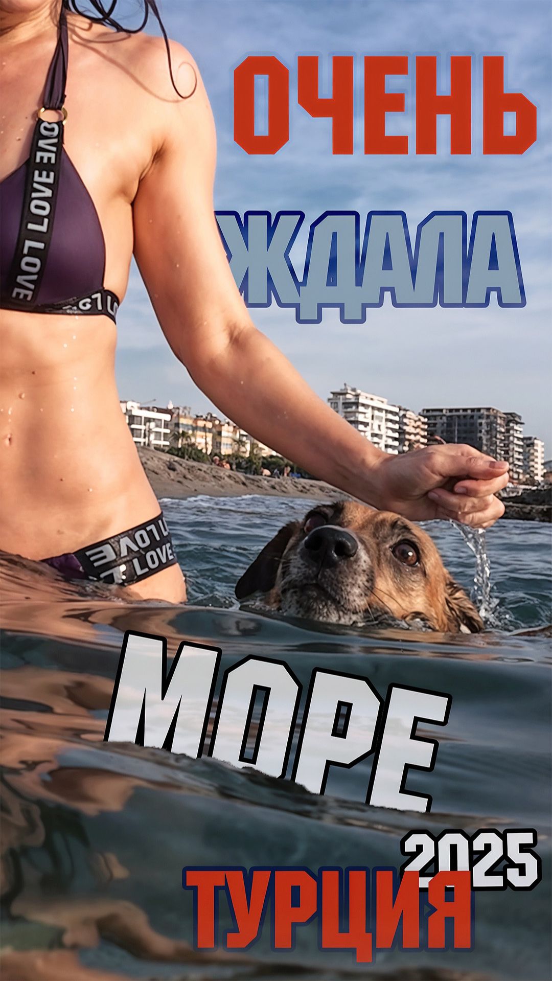 Секрет Джек-рассела раскрыт (смотрите до конца)😃